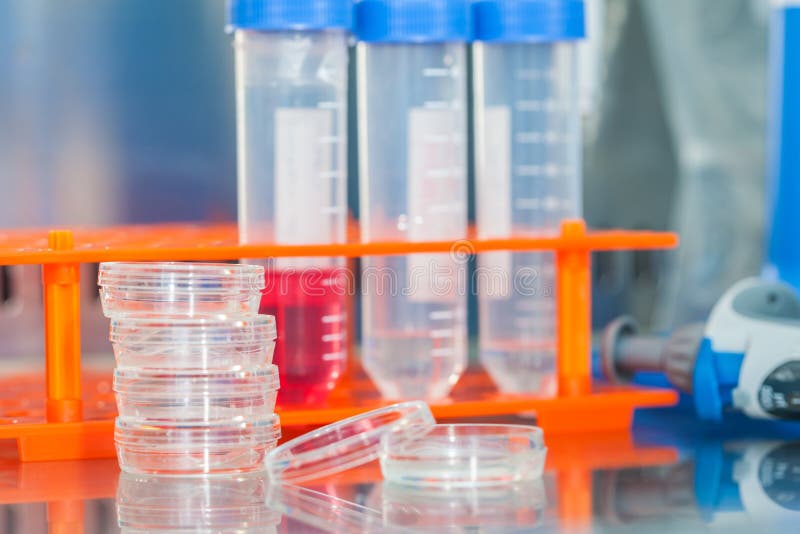 Laboratory Materials in a Safety Laminar Air Flow Cabinet Stock Photo ...