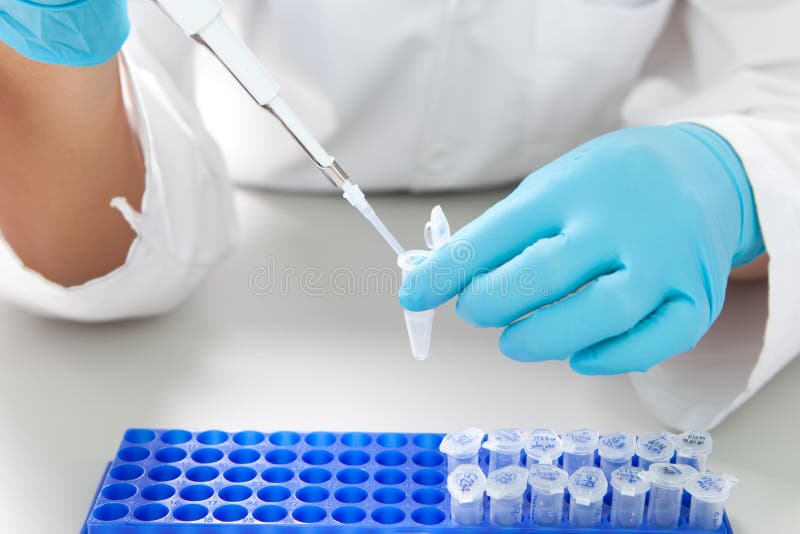 Biotechnology Test Tube Research Stock Image - Image of keyboard ...