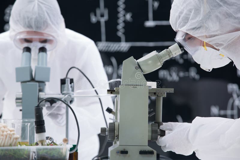 Laboratory Microscope Analysis Stock Image - Image of applied, doctor ...