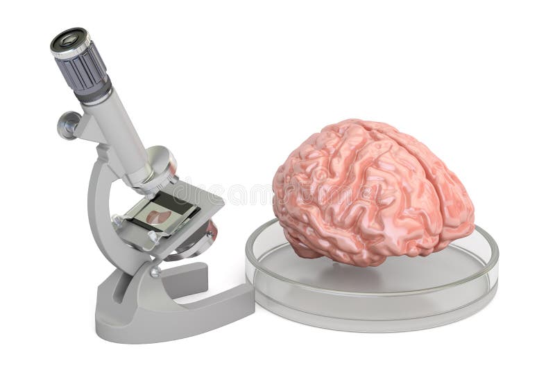 Laboratory Microscope with Human Brain, 3D Rendering Stock Illustration ...