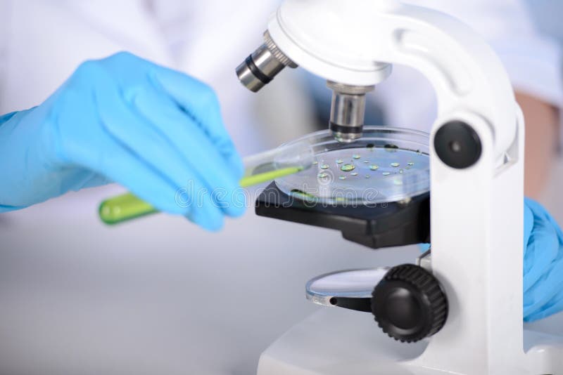 Laboratory stock image. Image of medical, hospital, biotechnology ...