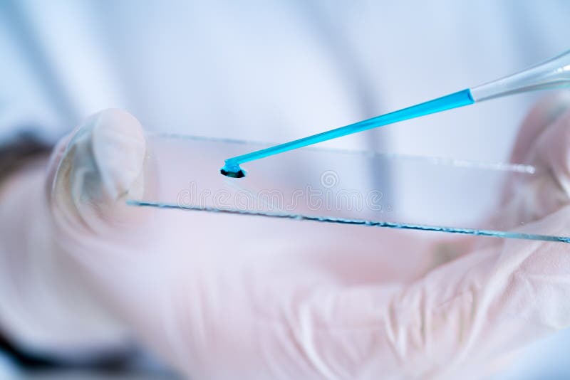 Laboratory Microscope with Microscope Slide in Hand Stock Image - Image ...