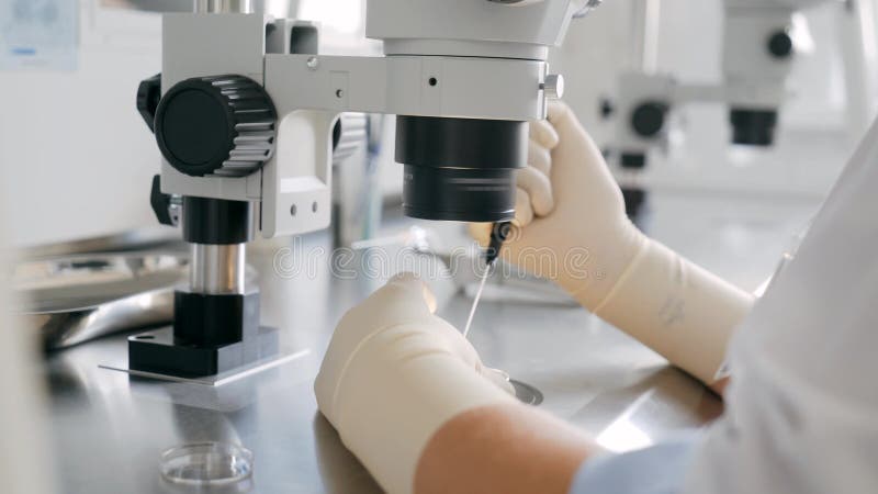 Laboratory Microscope. Scientific Research Background. Medical Research ...