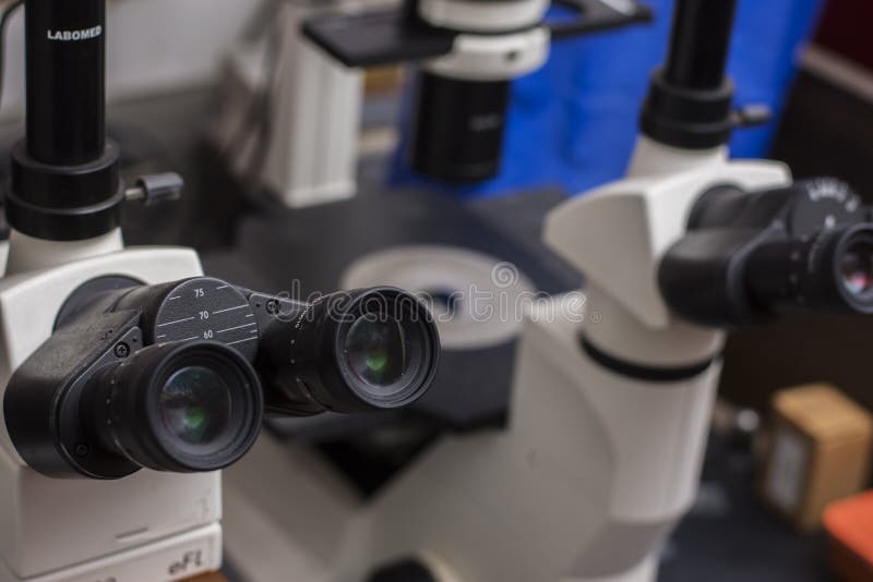 Laboratory Microscope with Selective Focus Stock Image - Image of ...