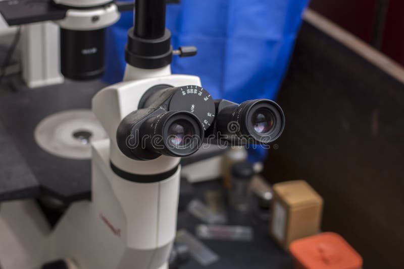 Laboratory Microscope with Selective Focus Stock Photo - Image of ...