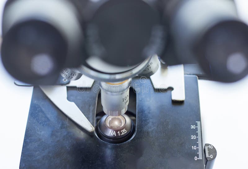 Laboratory Microscope. Working Area of a Bonocular Microscope Stock ...