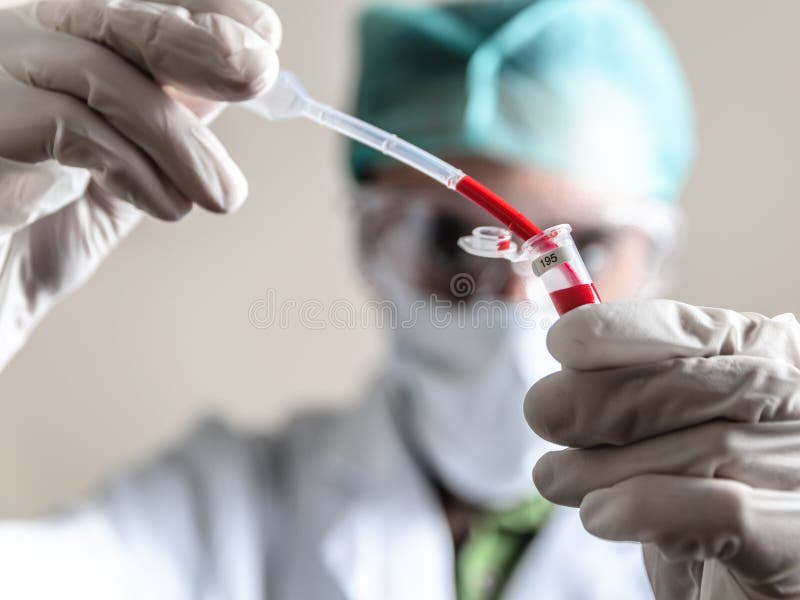Laboratory Personnel with Biological Sample Stock Photo - Image of ...