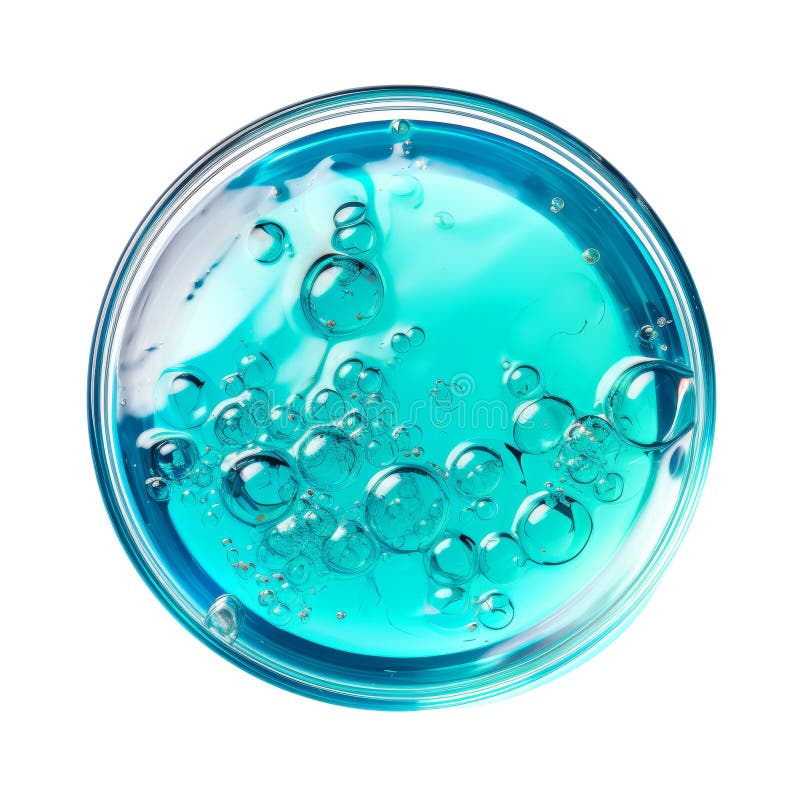 Laboratory Petri Dish with Liquid Isolated on White, Transparent, Top ...