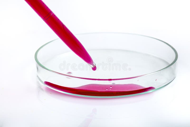 Laboratory Pipette with Drop of Red Liquid Over Petri Dishes with Red ...