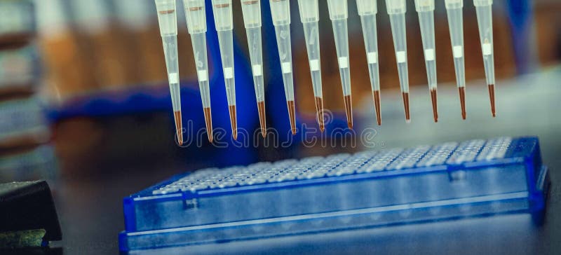 Laboratory Pipetting stock photo. Image of research - 331097732
