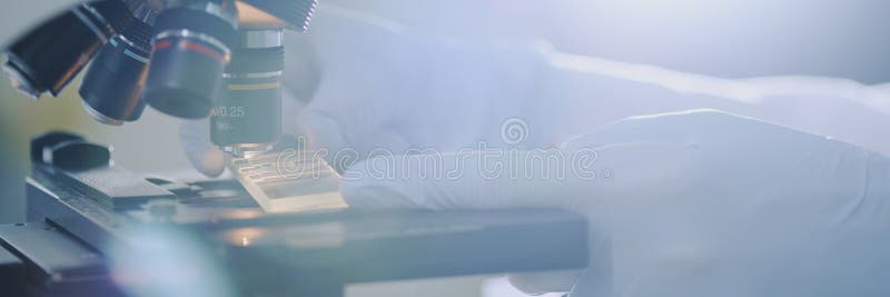 Examining Sample Under Microscope in Laboratory Setting Stock Image ...