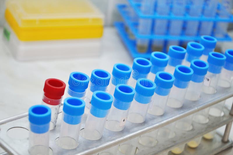 Laboratory reagents stock photo. Image of survey, medicine - 24900800