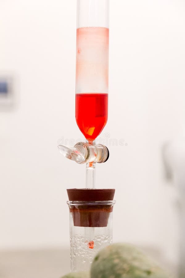 At the laboratory stock photo. Image of chemestry, science - 54128518