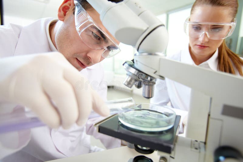Laboratory research stock photo. Image of focus, biochemistry - 26268170
