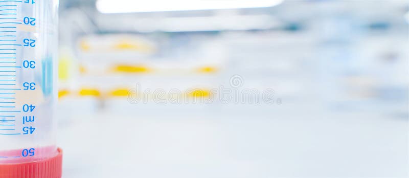 Laboratory Research Banner Wit Copy Space. Laboratory Equipment and ...