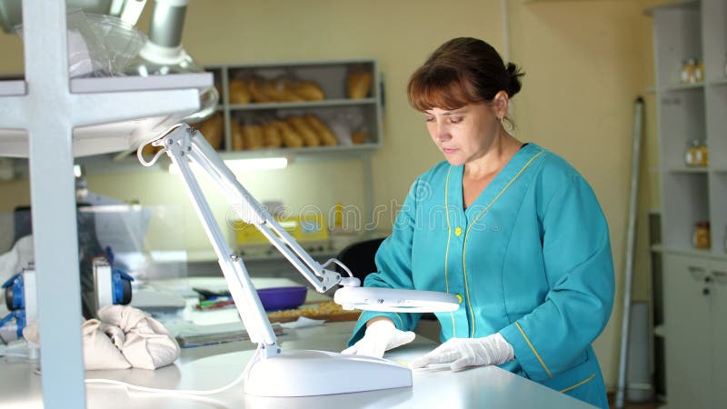 Laboratory Research of Corn Seeds. Samples of Different Species ...