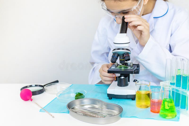 Laboratory Research Test Tubes Reagents and Microscope. Selective Focus ...
