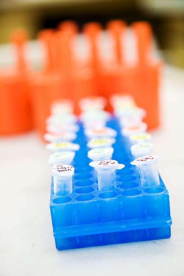 Laboratory samples stock image. Image of laboratory, analysis - 3938747