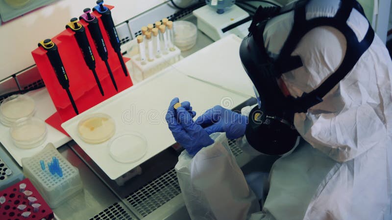 Laboratory Samples are Getting Moved by an Expert Stock Footage - Video ...