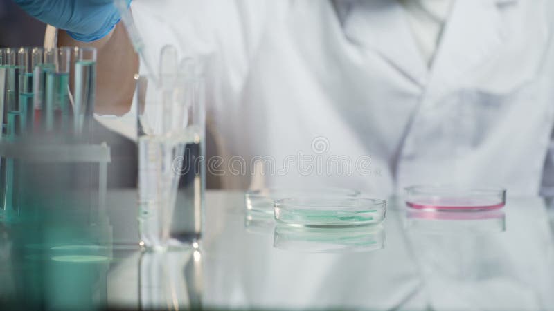 Laboratory Scientist Conducting Tests by Adding Drop of Reagent To ... Laboratory Scientist Conducting Tests by Adding Drop of Reagent To ...