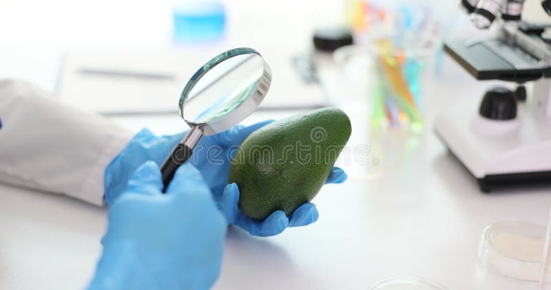 Laboratory Scientist Examines Avocado Using a Magnifying Glass Stock Video - Video of microscopy ...