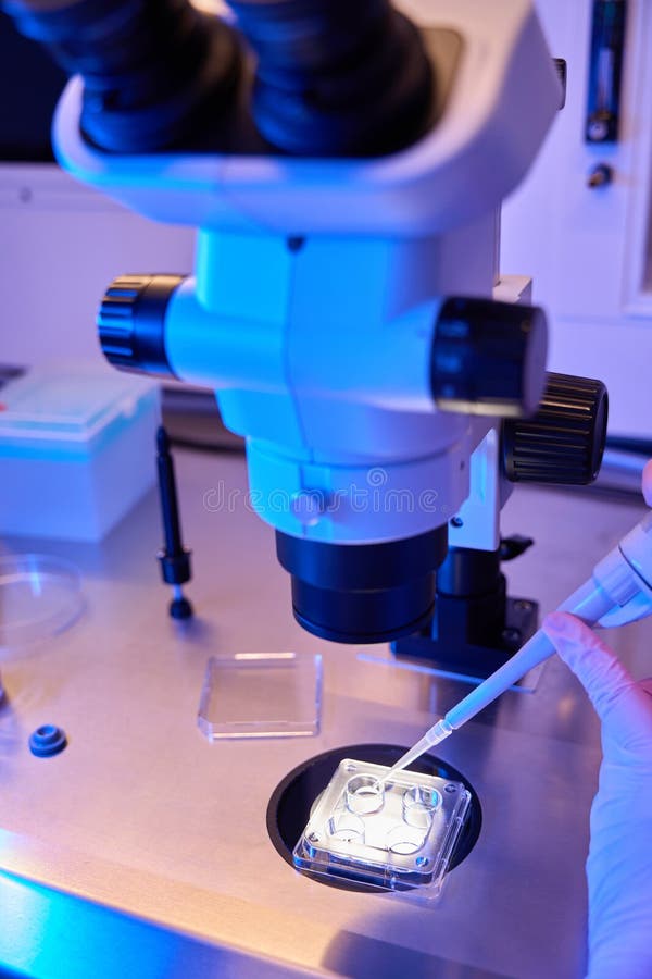 Laboratory Scientist Preparing Samples for Microscopic Examination ...