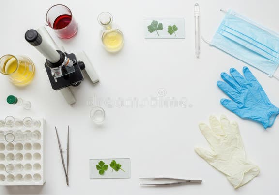 Laboratory Setup with Herbal Sample Tools Stock Illustration ...