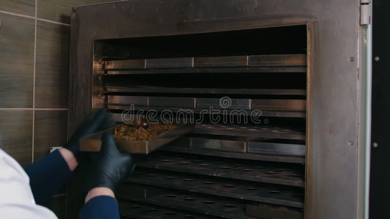 Laboratory Soil Drying Procedure, Technician Drying Soil Samples in an ...