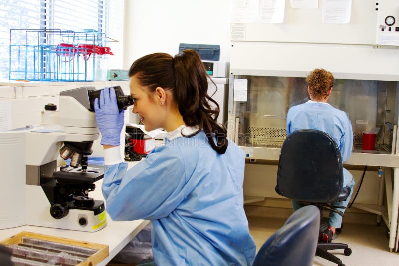 15,571 Laboratory Staff Stock Photos - Free & Royalty-Free Stock Photos ...