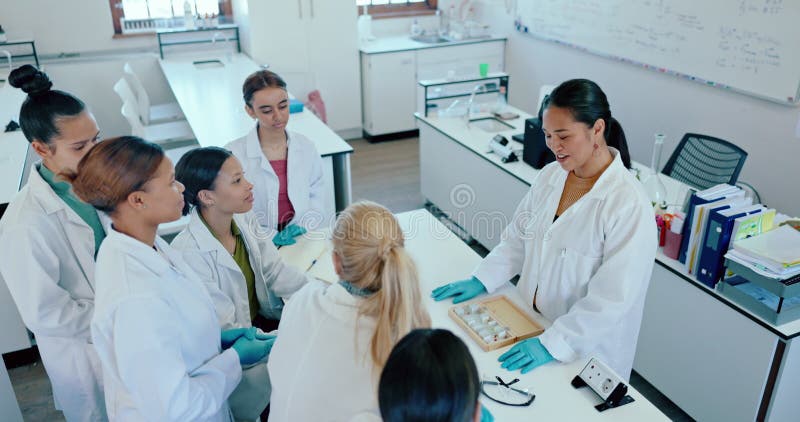 Science Students, Laboratory and Question in Classroom for Microscope ...