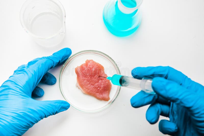 Laboratory Studies of Artificial Meat. Minced Meat in Glass Petri Dish ...
