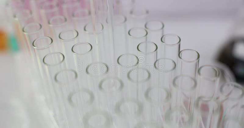 Laboratory Table Lined with Organized Transparent Test Tubes Stock ...