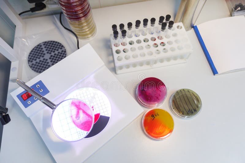 Laboratory table top view stock image. Image of facility - 91206099