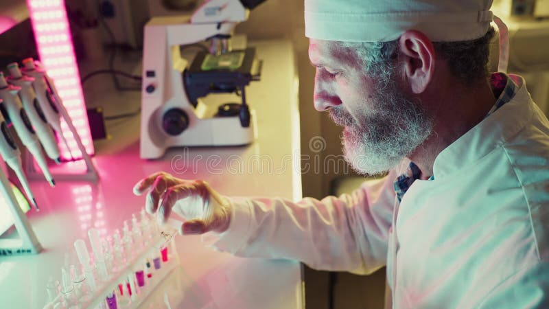 Scientist Analyzing Test Tubes in Modern Laboratory Stock Footage ...