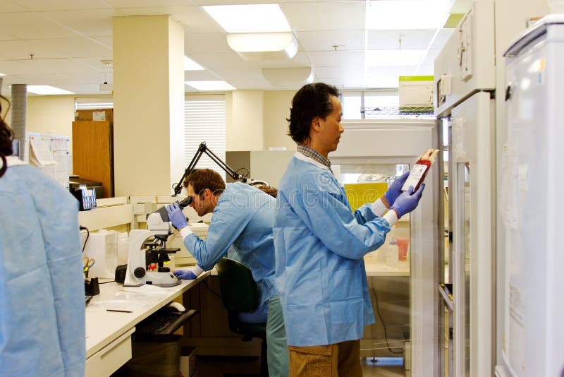Laboratory Technician Checking Blood Stock Photo - Image of tube ...