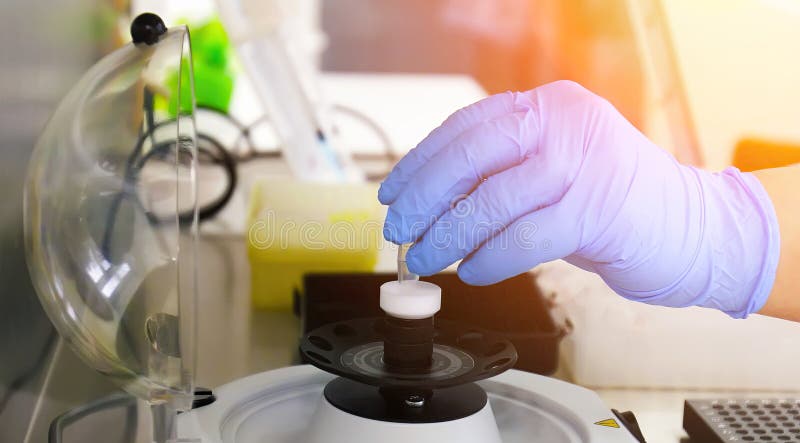Laboratory Technician Conducting a Sample Analysis Using a Centrifuge ...
