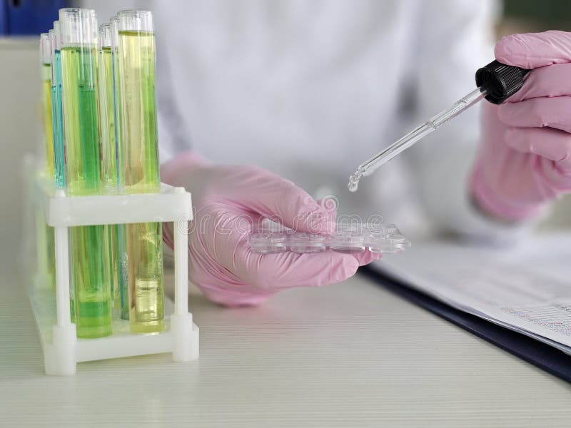 Laboratory Technician Conducts Experiments Colored Solutions Using ...