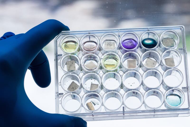 Laboratory Technician Holding a Multi-channel Microplate Towards Light ...