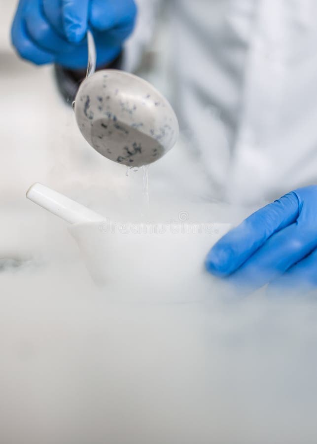 Laboratory Technician Performs an Experiment with Liquid Nitrogen Stock ...
