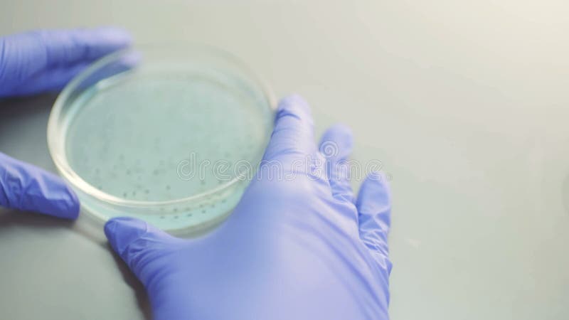 Medical Research Sample stock footage. Video of epidemic - 297117146