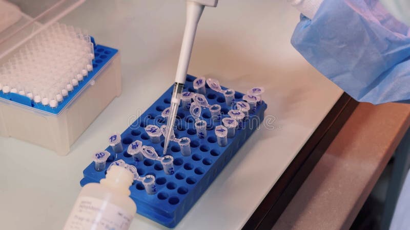 Laboratory Technician Taking Samples of DNA Profile Fluid Stock Video ...