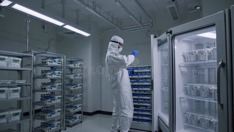 Laboratory Technician in Protective Gear Organizing Samples in a High ...