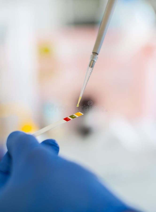 Laboratory Technician Working with Test Strips Indicator Paper Stock ...