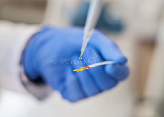 Laboratory Technician Working with Test Strips Indicator Paper Stock ...