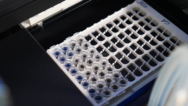 Laboratory Technicians Moving Samples. Human Samples Analyzer Studies ...