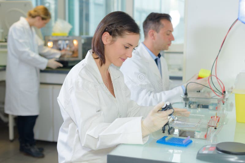 Laboratory Technicians at Work Stock Photo - Image of finding ...