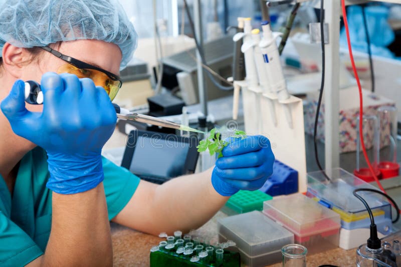 Laboratory test stock image. Image of biotechnology, biologist - 23430757
