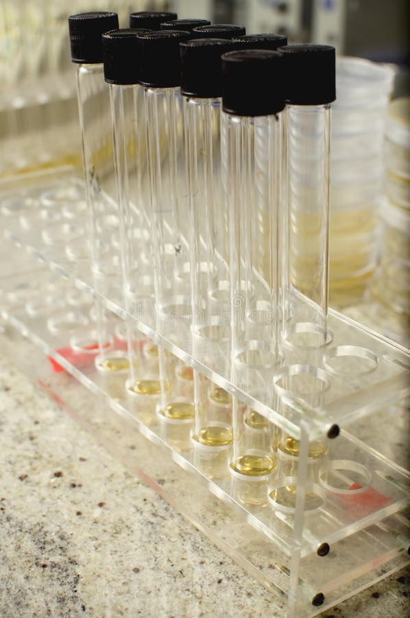Laboratory Test Tubes Picture. Image: 17408060