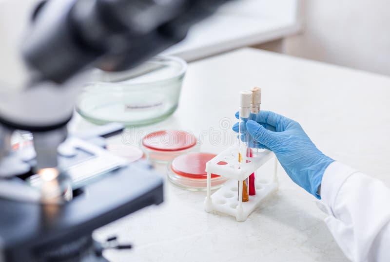 Laboratory Test-tubes and Retorts. Test Tubes with Samples for Analysis ...