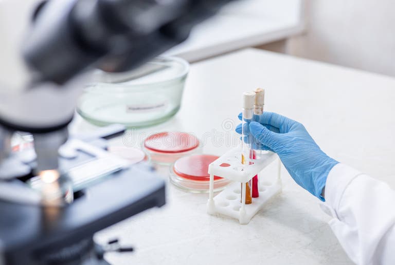 Laboratory Test-tubes and Retorts. Test Tubes with Samples for Analysis ...